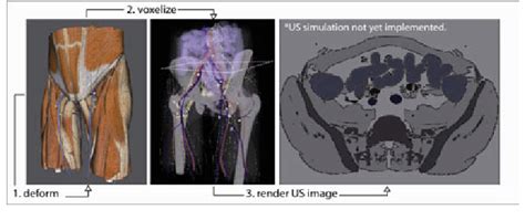 1 3d polygonal mesh model is deformed 2 voxelization of the model