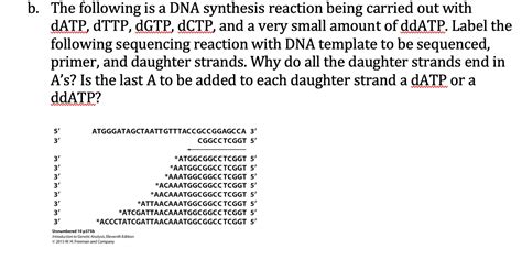 The Following Is A Dna Synthesis Reaction Being