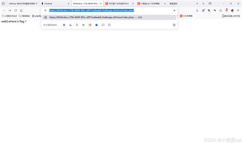 Ctfshow Web入门 信息搜集（5ctfshow Web5 Csdn博客