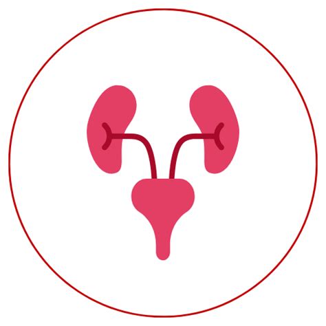 Picaso Hospital Medione Layanan Pengobatan Ke Malaysia