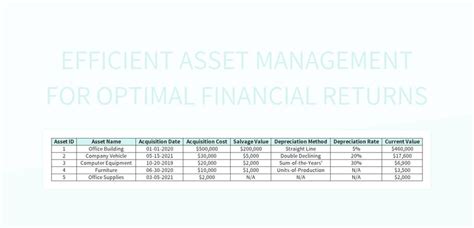 Efficient Asset Management For Optimal Financial Returns Excel Template