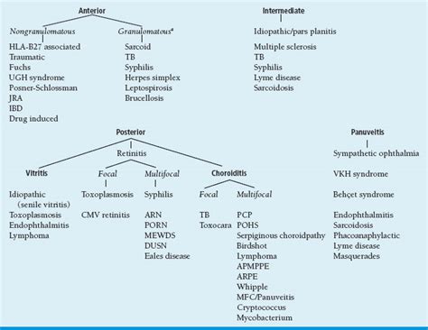 4 Intraocular Inflammation And Uveitis Ento Key