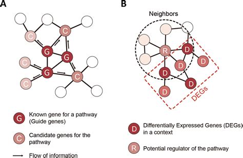 Schematic Diagrams Of Network Based Gene Prioritization Algorithms