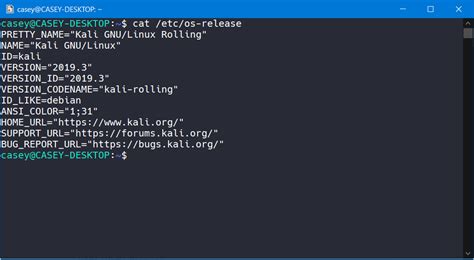 Customize The Windows Terminal Like A Boss Casey Mullineaux