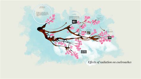 Most Bugs Can Survive Radiation By James Reams On Prezi