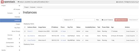 How To Launch An Instance HackUCF Private Cloud Docs