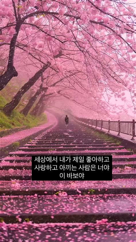너와 나의 이야기 내가 가장 사랑하는 사람너야💕 사랑 이별 Reels 이별글귀 릴스 Fyp 우울 첫사랑