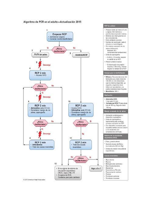 Algoritmo AHA AHA Primeros Auxilios Studocu