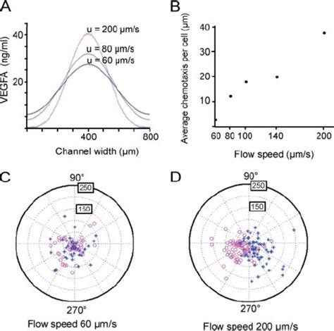 The Gradient Shape Dictates The Chemotactic Response A Com Puter