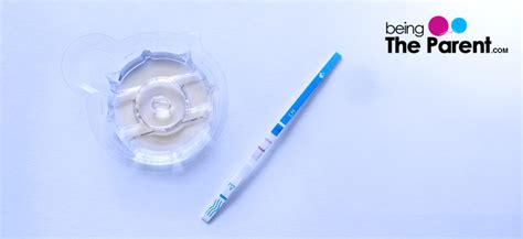 How To Use Ovulation Test Strips Being The Parent