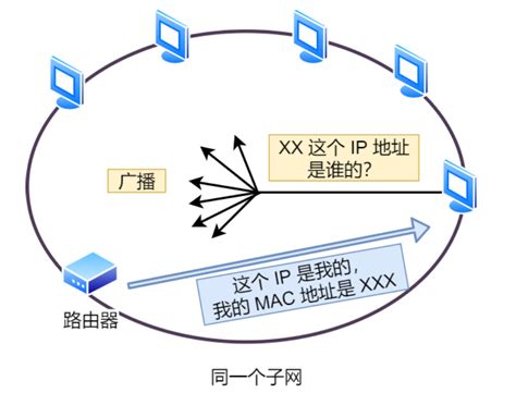 【牛客网c服务器项目学习】 Day09 网络模型个人总结牛客服务器项目总结 Csdn博客