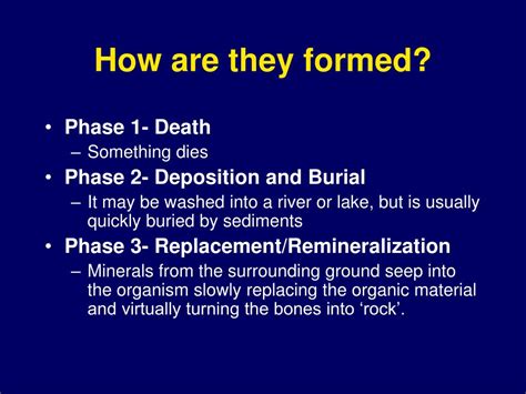Ppt Rebecca Fossil Types Powerpoint Presentation Free Download Id 637