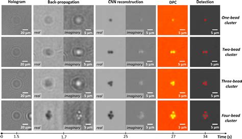 Figure 1 From Deep Learning Enables High Throughput Analysis Of