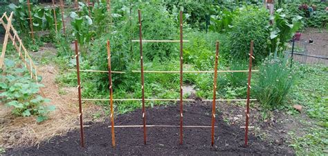 38 DIY Trellis Ideas Simplified Building