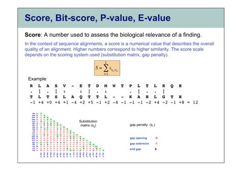 score bit score p value e