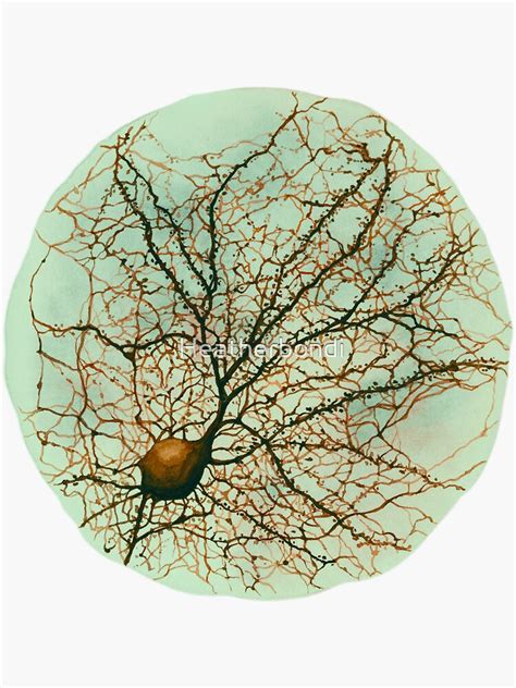 dendritic tree and spines of an hippocampal neuron watercolor