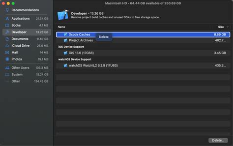 Manage Developer Disk Space Easily With Macos Big Sur Empty Theory