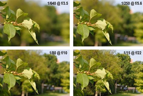 Depth Of Field Camera Lens At Hayley Savige Blog