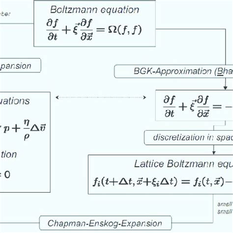 Schematic Representation Of LBM Download Scientific Diagram