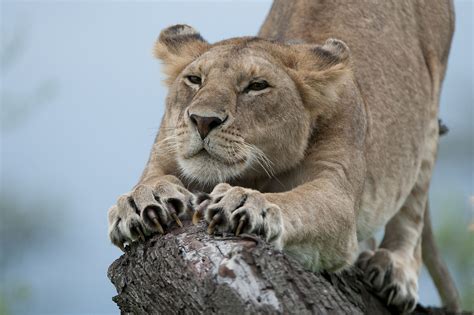 Common Error To Avoid Committing Learning Spanish Like Crazy