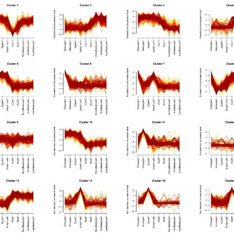 standardized expression levels of 16 groups of microarray probesets