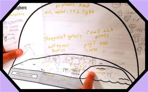 Anchoring Phenomena With Mystery Science