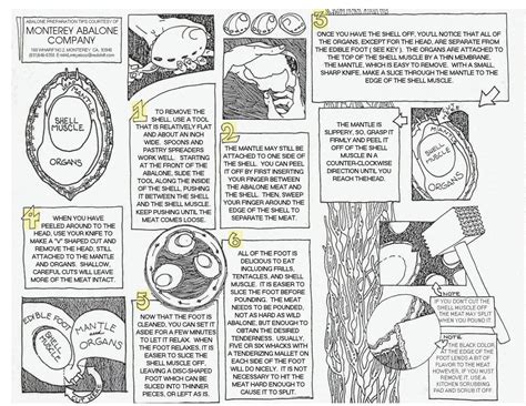 How To Clean Abalone Monterey Abalone Company