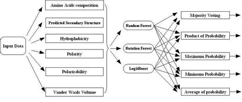 2 ensemble of different classifiers that were trained independently
