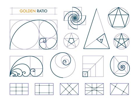 Golden Ratio Representation Vector Art Icons And Graphics For Free