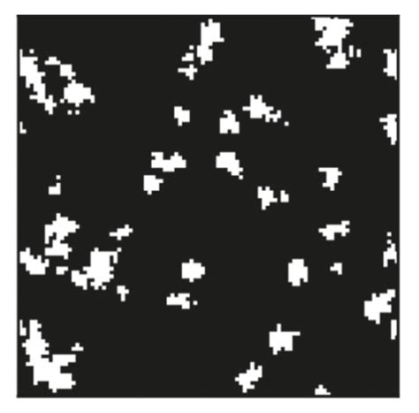 Characteristic Snapshots Of C And D Players On A 100×100 Square Lattice