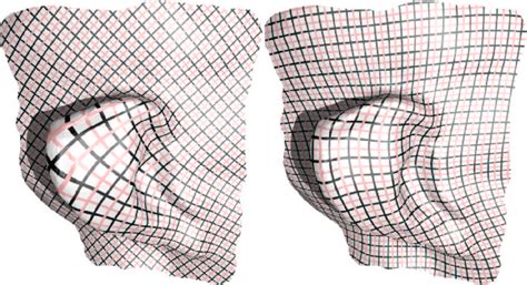 Figure 1 From An Adaptable Surface Parameterization Method Semantic