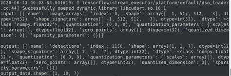 Tensorflow Lite Model Output Issue Google Automl Github