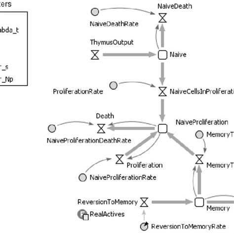 The System Dynamics Model Functions And Parameters Download