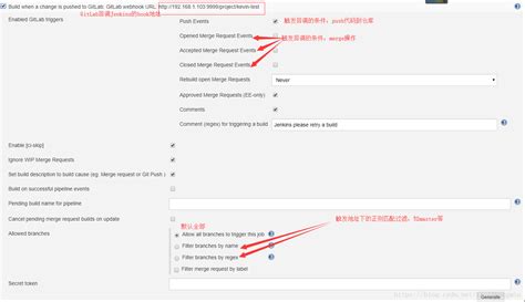 jenkins的安装和使用（centos7） advanced project options csdn博客