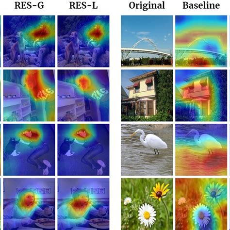 Selected Explanation Visualization Results On Gender Classification Download Scientific Diagram
