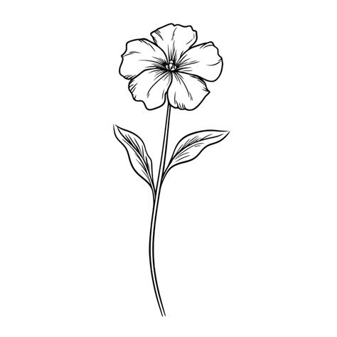 Premium Photo A Black And White Drawing Of A Flower With A Long Stem