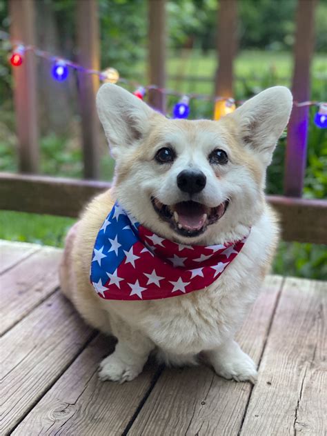 Naughty Uncle On Tumblr