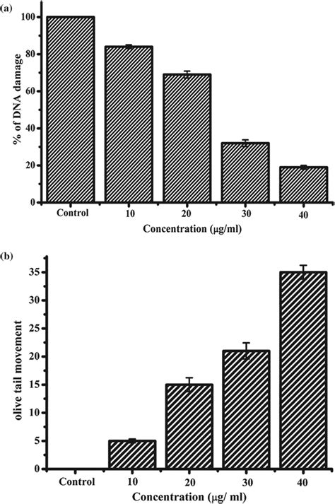 Genotoxic Effect Of Various Concentrations Of Zno Nrs On A549 Cells Download Scientific