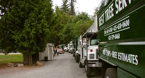 Services Best Tree Service