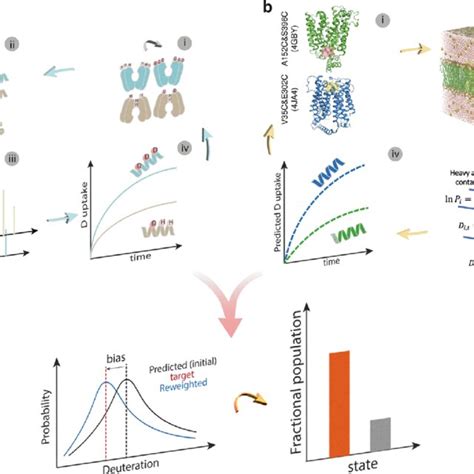 integrative modeling workflow with hdx ms data and molecular