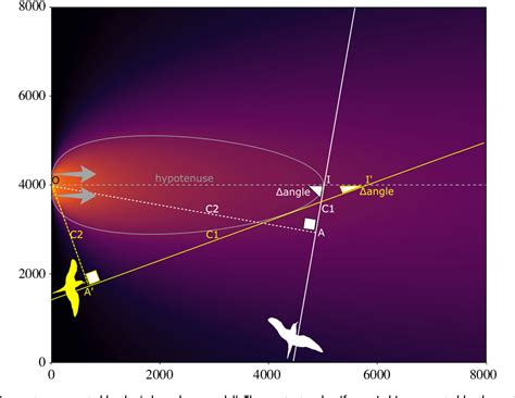 Pdf A Central Place Foraging Seabird Flies At Right Angles To The