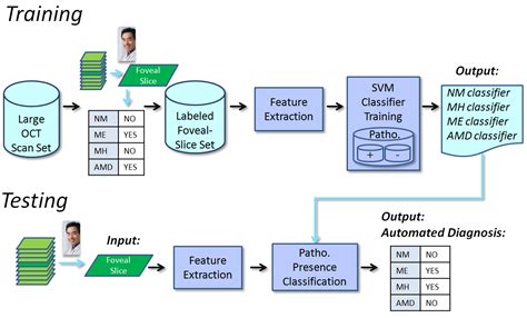 Automated Macular Pathology Diagnosis In Retinal Oct Images