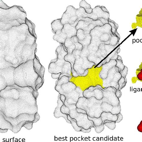 2d Representation Of The Pocket Identification Procedure Figs 3a And