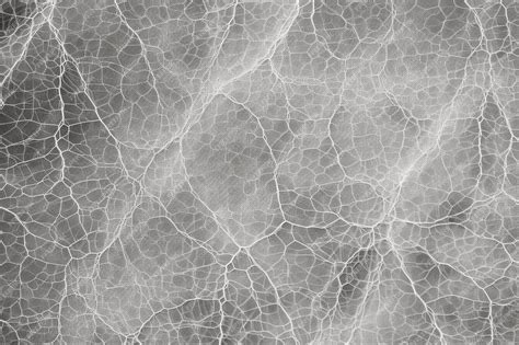 Premium Photo White Cobweb Texture For Delicate Backgrounds