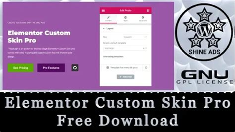 Elementor Custom Skin Pro Free Download V