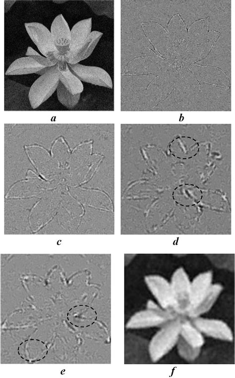 Figure 2 From Sar Image Noise Suppression Of Bemd By The Kernel