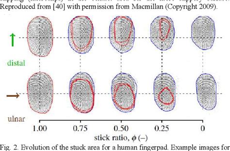 Figure 10 From Tactile Sensors For Friction Estimation And Incipient
