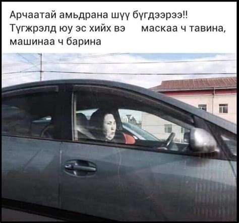 Дэлхийн Фото Танин Мэдэхүй