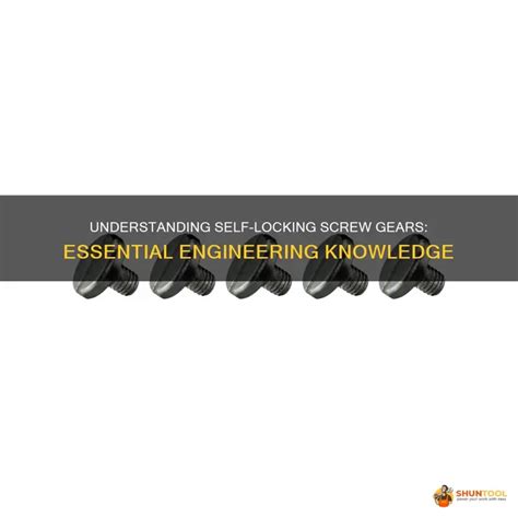 Understanding Self Locking Screw Gears Essential Engineering Knowledge Shuntool