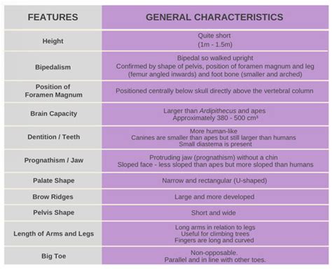 Australopithecus General Characteristics Hominid Sequence Proposed